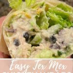Easy Dinner Recipe | Quick & Easy Tex Mex Chicken Wraps |Get On My Plate