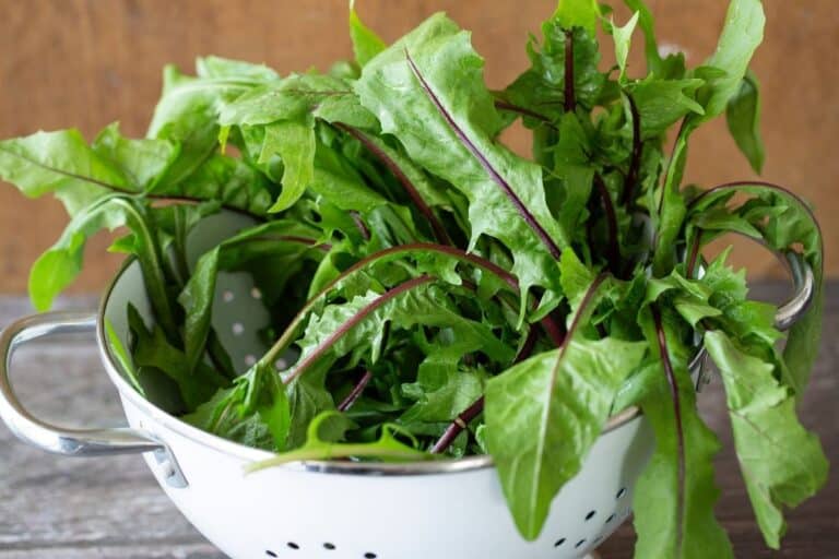 11 Delicious Substitutes for Arugula - Get On My Plate