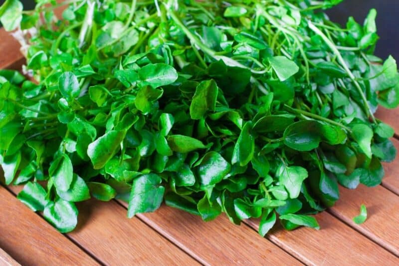 11 Delicious Substitutes for Arugula - Get On My Plate